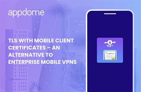 Devsec Blog Tls With Mobile Client Certificates An Alternative To Vpns