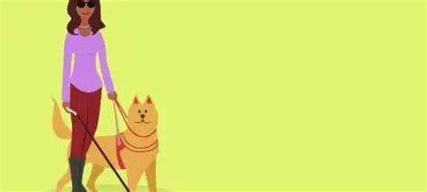 Deficiência Visual Entenda Detalhadamente Com Um Guia E Cursos Online