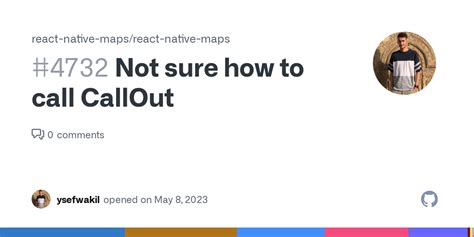Not Sure How To Call CallOut Issue React Native Maps React Native Maps GitHub