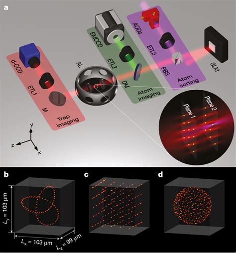 Experimental Setup And Trap Images A We Combine A Spatial Light Download Scientific Diagram
