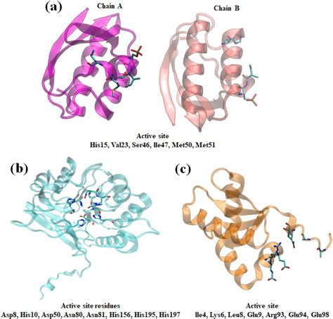 3d Structure Of A Enterococcus Faecalis Pdb Code 1fu0 B Download Scientific Diagram