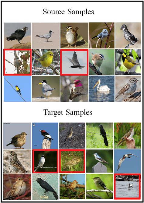 Qualitative Results On GZSL Task Of The CUB Dataset Images With Red Download Scientific