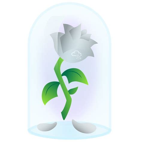 Tryhackme Ctf Cybersecurity Mrrobot Ctfwalkthrough Aysu B