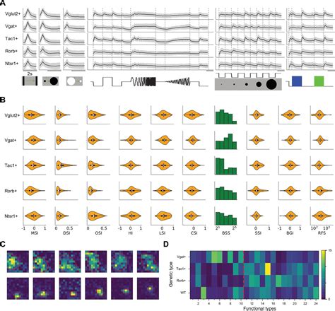 Functional Cell Types In The Mouse Superior Colliculus Elife
