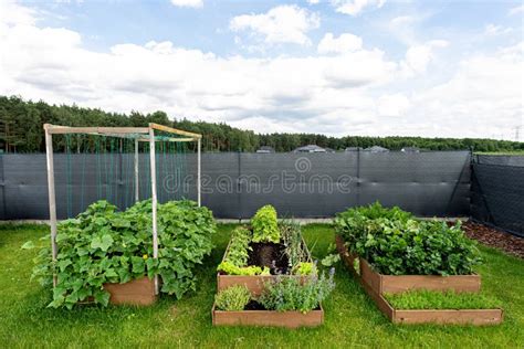 A Wooden Crate With Various Vegetables Standing On The Grass In The