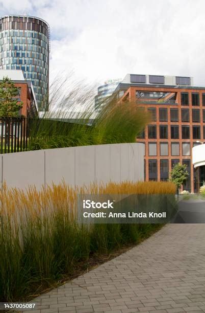 자하 하디드 아키텍츠 스카이 파크 브라티슬라바 가을 도시 풍경 지속 가능한 라이프스타일 스마트 시티 슬로바키아 중부 유럽 Nivy Bratislava에 대한 스톡 사진