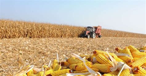 Learn About Servicenow Integration With Perspectium Perspectium Posted On The Topic Linkedin