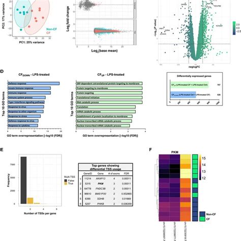 Heightened Monocyte Activation In Cf Circulation A Comparison Of Download Scientific Diagram