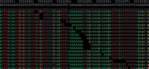 4peaks Sequence Alignment Software Imagingryte