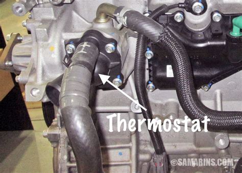 Thermostat Housing Symptoms At Jason Davies Blog