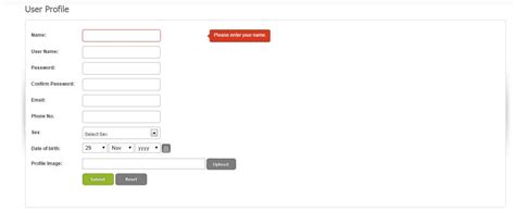 Entry 11 By Webinfosolutions For C Web Development Towards Sql Server