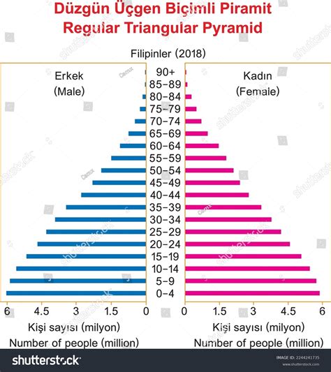 Regular Triangular Population Pyramid Illustrator Stock Vector Royalty