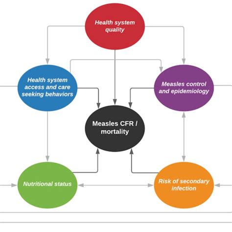 Conceptual Framework Of Mechanisms Related To Measles Case Fatality Download Scientific Diagram