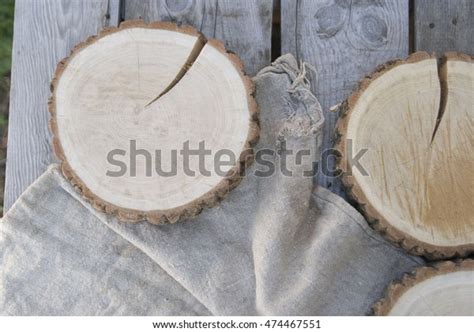 Cross Section Tree Trunk Showing Growth Stock Photo Shutterstock