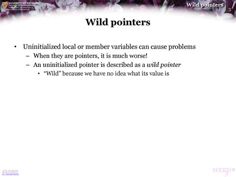 Wild Pointers Ppt Download