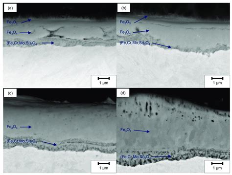 Sem Cross Section Images After Oxidation Of A Ground B Lcm H 3 Po