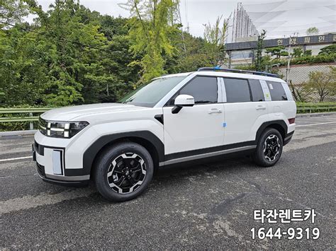 신차 디 올뉴 싼타페7인승 월 895만원