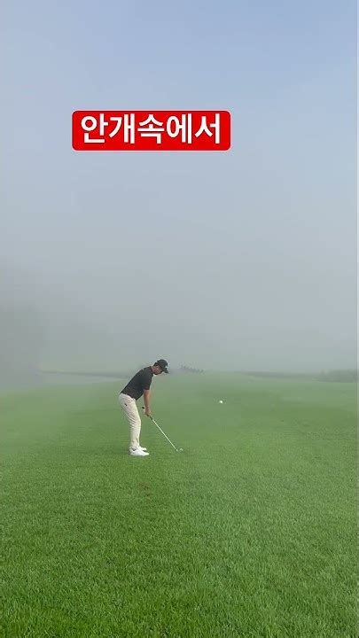 안개속에서 부드러운스윙 Youtube