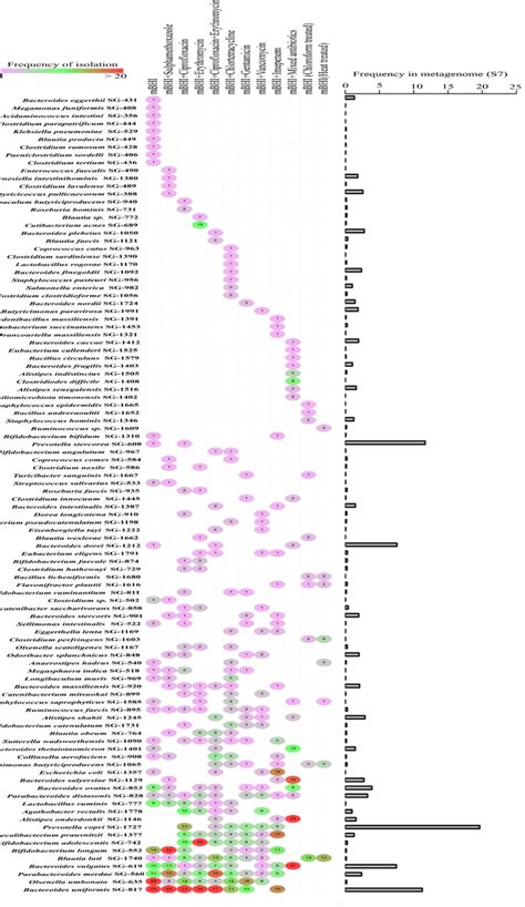 Efficiency Of Species Retrieval In The Culture Conditions Tested A