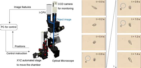 Tracking Microscope Okulab E