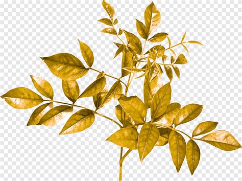 Graphy Leaf Branch Png PNGEgg