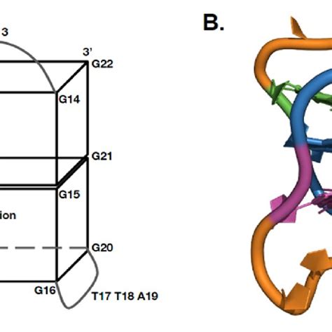 Schematic Representation Of The Initial Structures Prepared For The