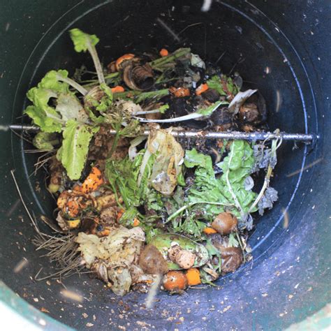 5 Reasons To Compost With Worms At Home Compost