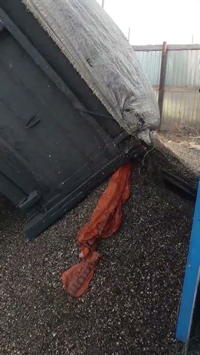 покупка семечек отходы Youtube