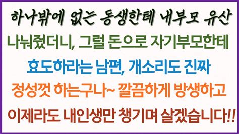 사이다사연하나뿐인 동생에게 부모님이 남겨주신 유산을 나눠줬더니 지금까지 지원해준걸로 퉁치고 그돈으로 시부모한테 효도라라는 남편 깔끔하게 방생하고 내인생 살렵니다