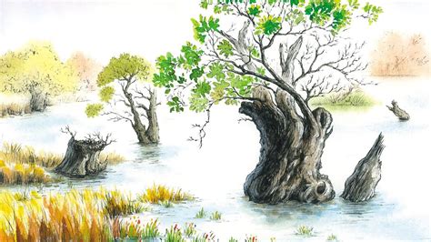 힐링 수채화 안개 낀 호수 호수 풍경 그리기 Youtube