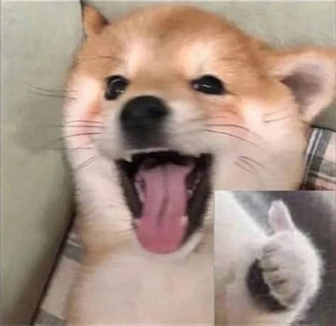 Github Leephan K V Dictionary Api