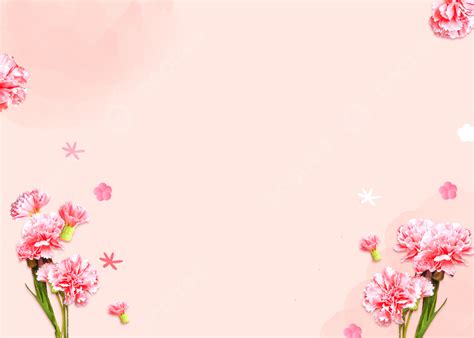 따뜻한 핑크 그라데이션 카네이션 배경 따뜻한 낭만적 인 분홍 배경 일러스트 및 사진 무료 다운로드 Pngtree