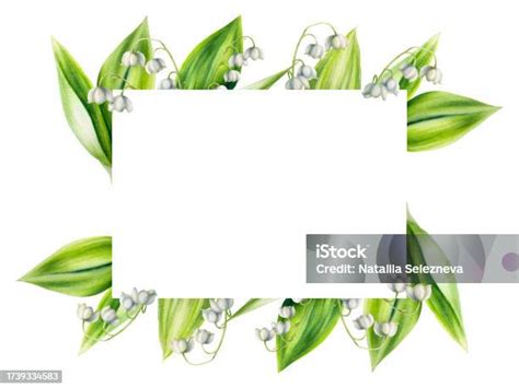 계곡 꽃의 꽃다발이 있는 수채화 프레임은 흰색 배경에 분리되어 있다 봄 손으로 그린 그림입니다 디자이너 결혼식 장식 엽서 포장지