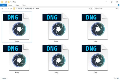 Dng File What It Is And How To Open One