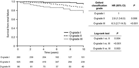 Grading System Utilising The Total Score Of Oxford Classification For