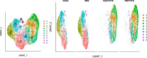 Clustering Analysis Of The ScRNA Seq Data From The Huh7 5 NTCP Cells Download Scientific