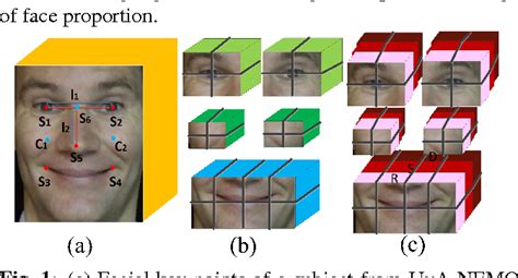 Figure 1 From Spontaneous Versus Posed Smile Recognition Using Discriminative Local Spatial