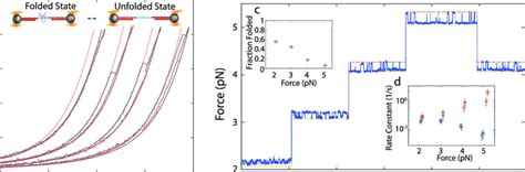 A Non Equilibrium Force Ramp Measurements Of A Single Representative