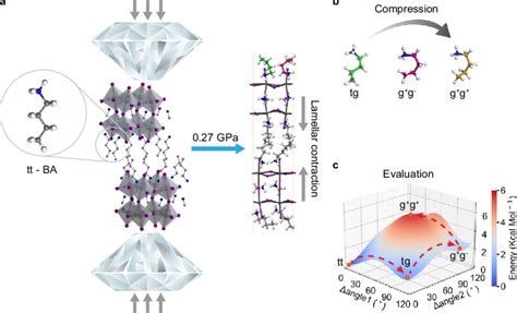 Rotational Isomerism Of Ba Molecules During Compressive Stress Of N