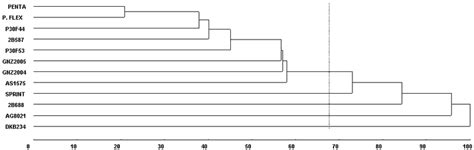 Dendrogram Illustrating The Pattern Of Dissimilarity Established Download Scientific Diagram