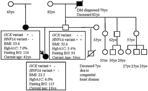 Figure 1 From Clinical Assessment Of Hnf1a And Gck Variants And