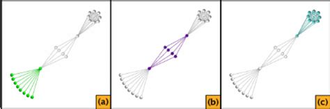 Typical Topological Structures Of Quasi Tree Graphs A A Star In Download Scientific Diagram
