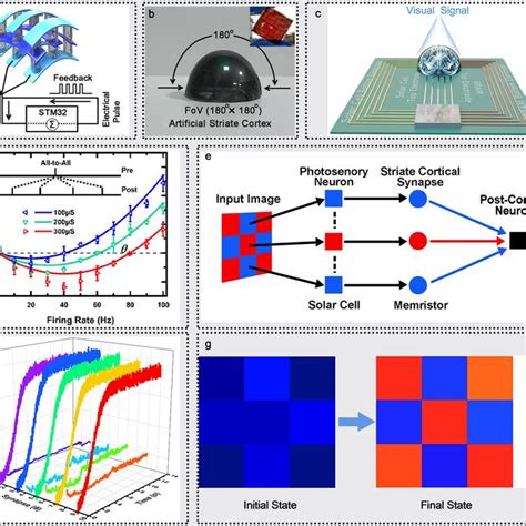 Bcm Learning Rule For Pattern Learning Based On Device Level Artificial