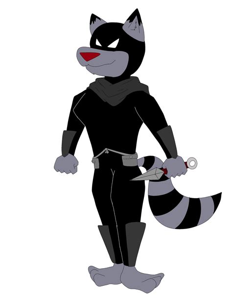 Ninja Raccoon Lady Urban Gear By Tdawgmcfadden On Deviantart