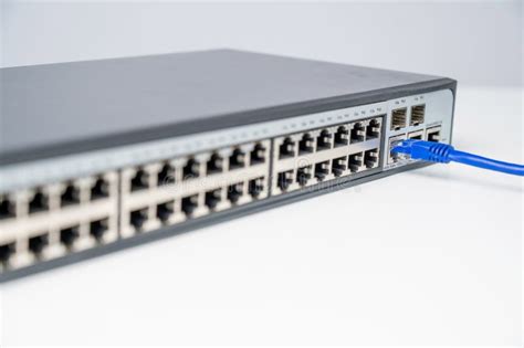 Connecting Ethernet Cable To Network Switch Stock Image Image Of Connected Business 392654433