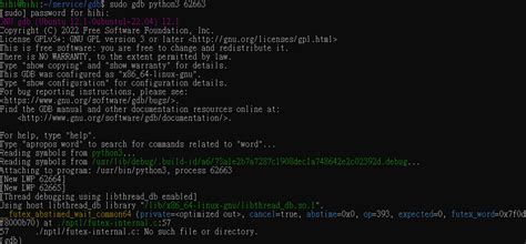 試使用 gdb 來查看卡住的 python 程式 ajing s notes