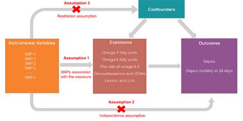 Overall Design Of The Present Study Snp Single Nucleotide Polymorphism