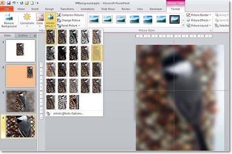 how to blur a part of a picture 4 best ways