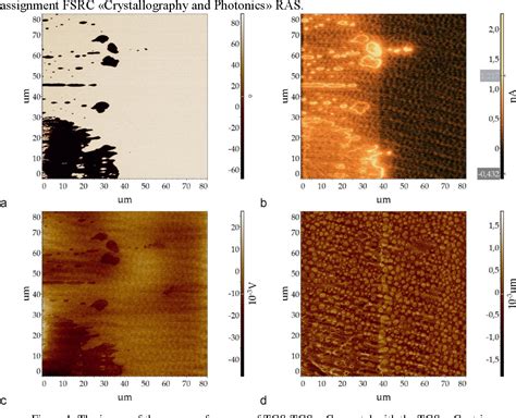 [pdf] Atomic Force Microscopy Of Layer Doped Triglycine Sulfate Ferroelectric Crystals