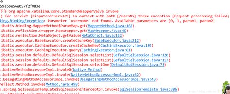 报错org apache ibatis binding bindingexception parameter xxxxx not